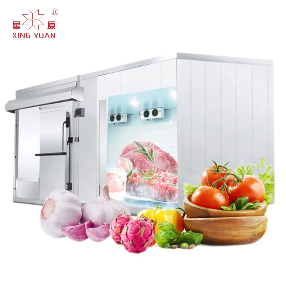 Factory Hot Sale reefer freezer butcher cold room qingdao blast freezer ...
