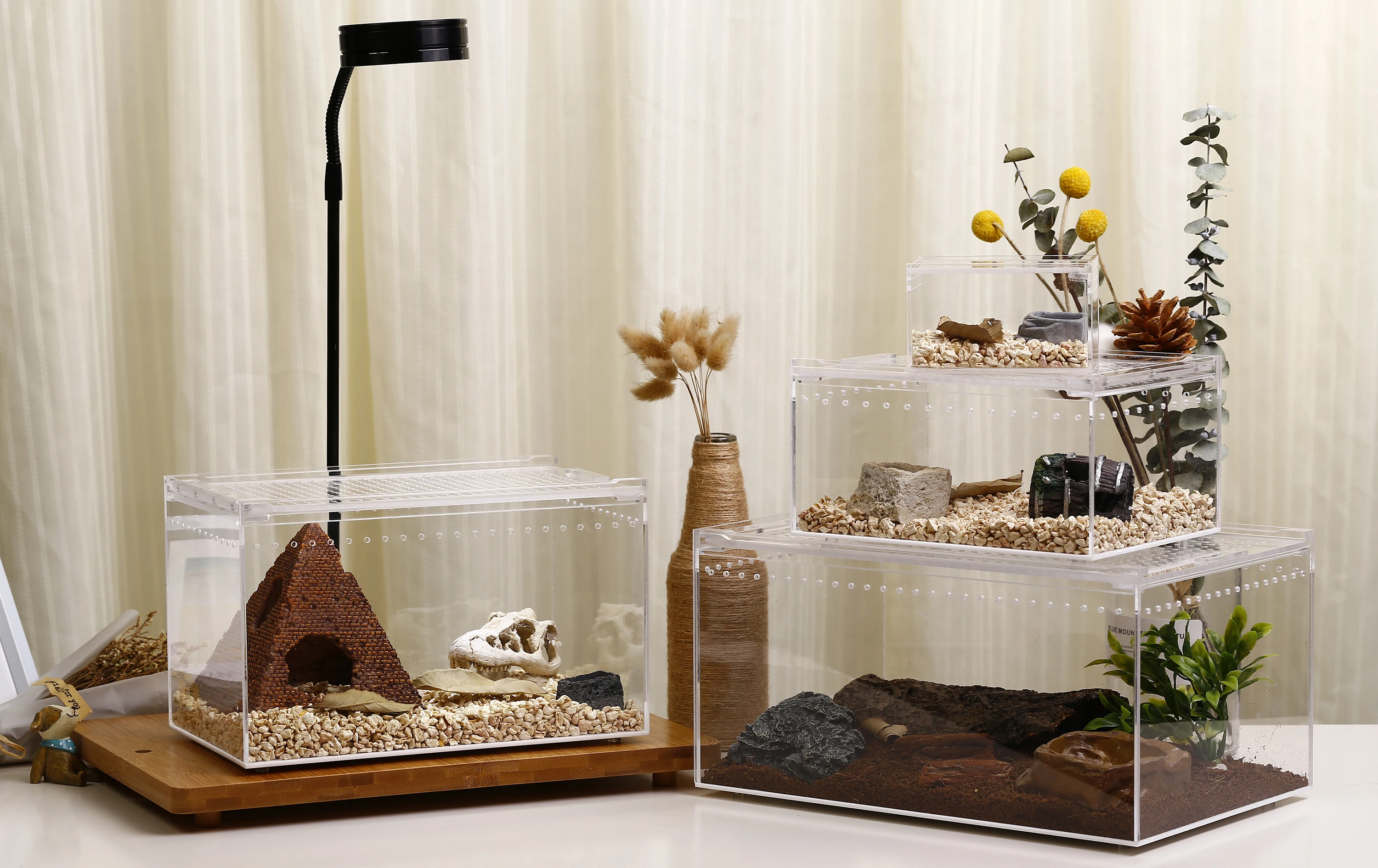 Custom Logo Transparent Clear Acrylic Reptile Display Box Enclosure ...