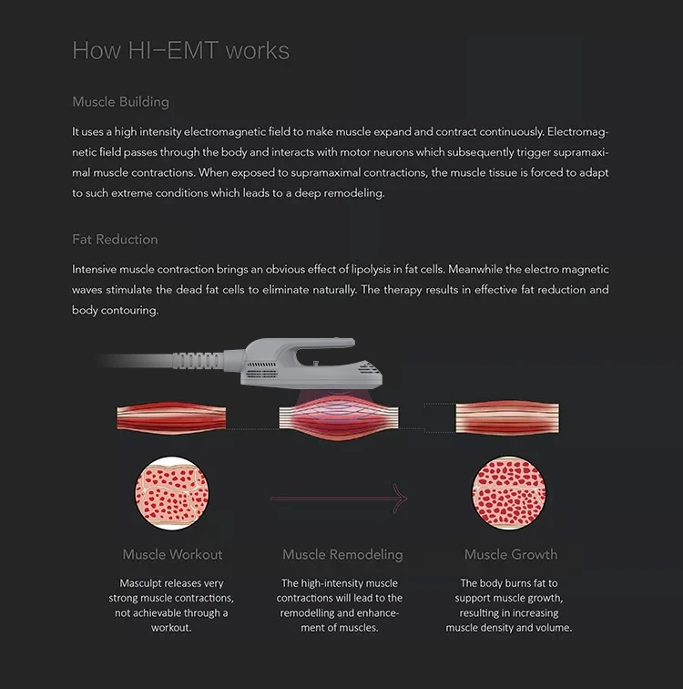 4 Handles Ems Hiemt Sculpt Portable Muscle Stimulator Culpting Body ...