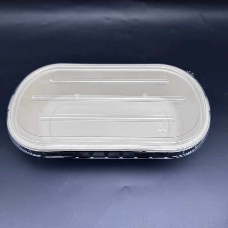 Food Containers Made Of Sugarcane Bagasse Pulp Lunch Food Box Eco ...