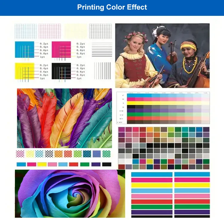 Plusjet Printhead For Dx7 F196000 Print Head Original For Epson Flatbed ...