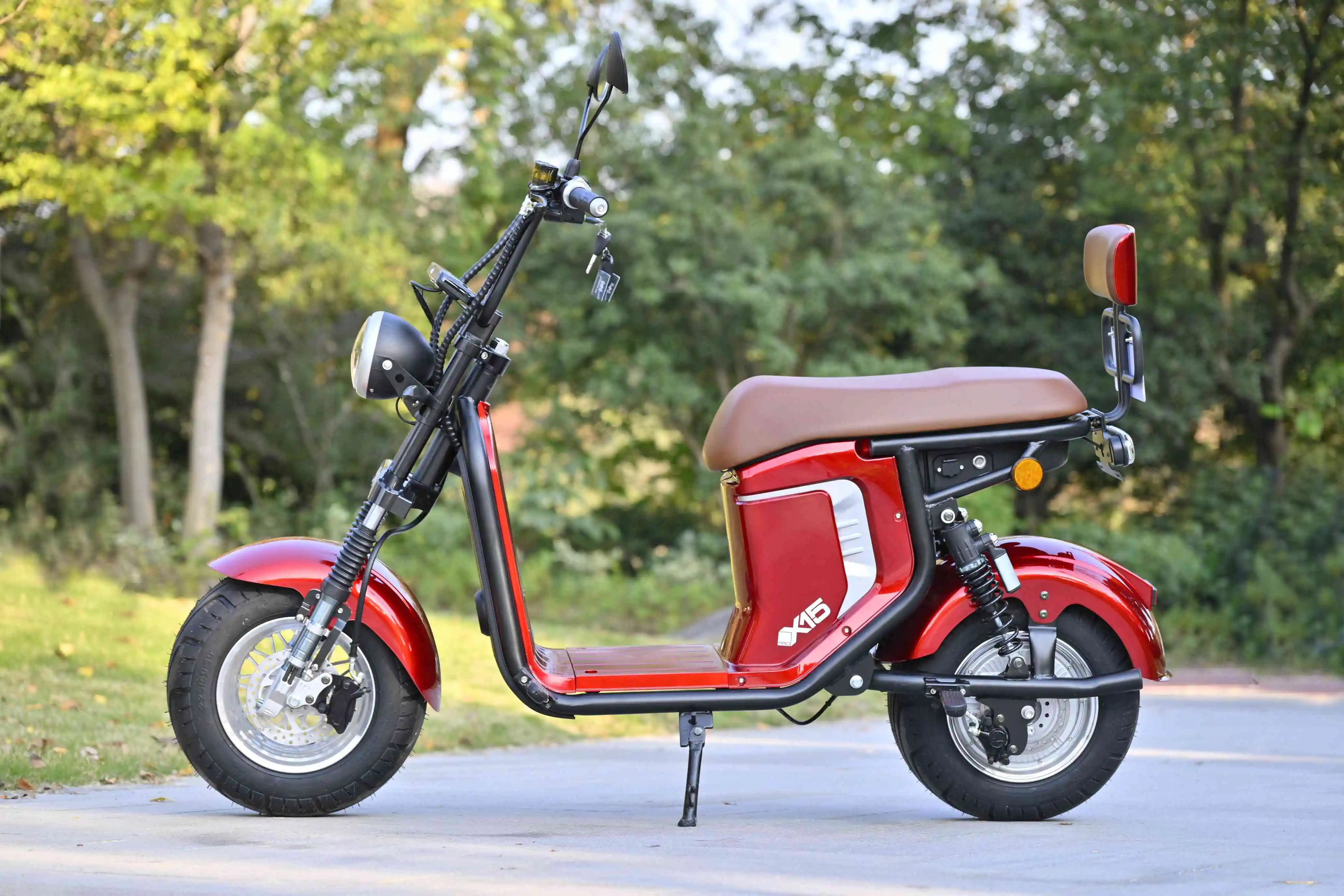 Citycoco Unisex Fast Electric Scooter Two-Wheel Electronic Device with ...