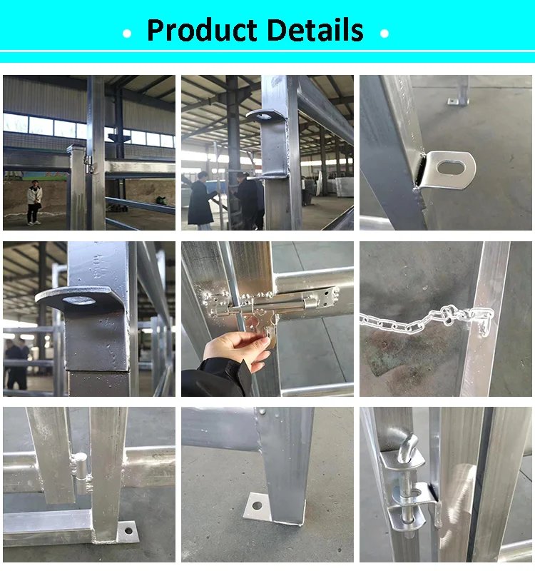 Galvanized Metal Sheep Yard Fence 6 Bar Oval Pipes Livestock Fence ...