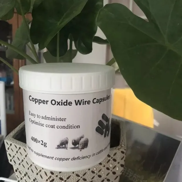 Copper Bolus for Ruminants - Essential Mineral Supplementation