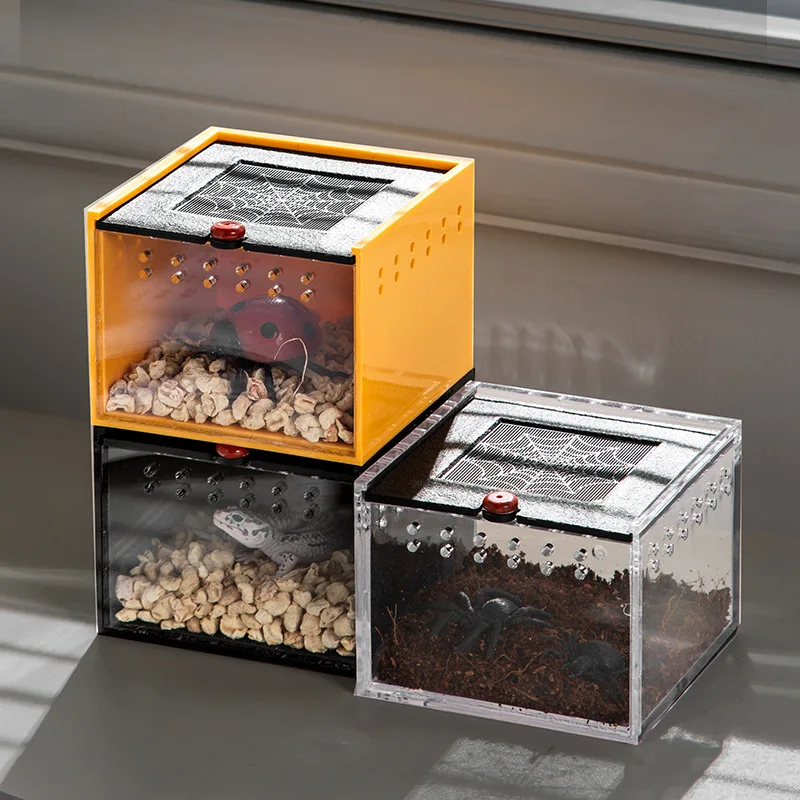Acrylic Spider Box - Perfect Tank Insect Home for Reptiles