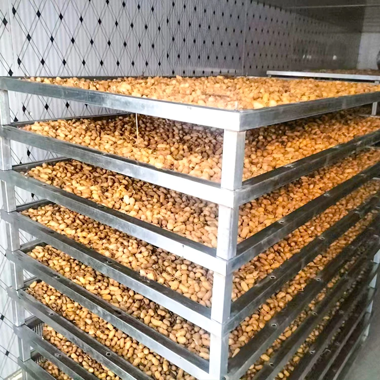 Home Pecan Dryer - Efficient Drying Solutions for Food