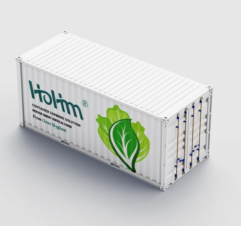 Shipping Container Farm With Hydroponic Vertical System For Vegetable ...