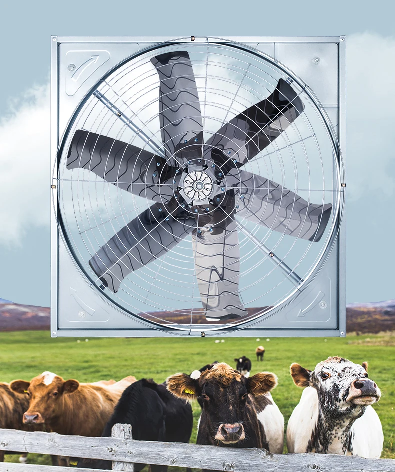Hanging Ventilation Cow Exhaust Fan For Cattle Dairy Farm Farming House ...