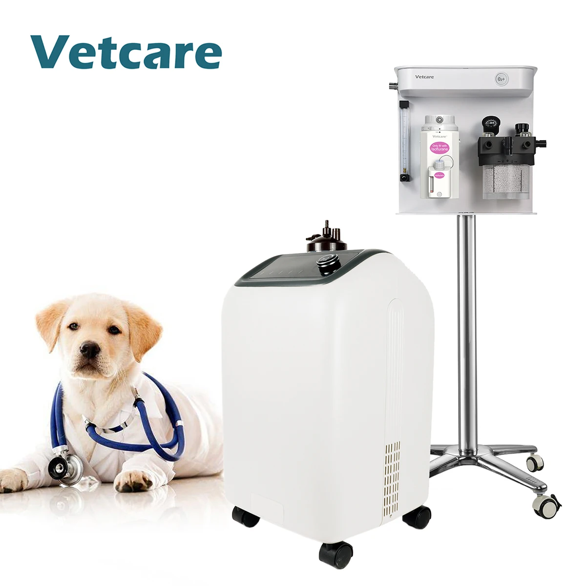 Portable 5L Oxygene Concentrator Machine Veterinary Oxygen Generator ...
