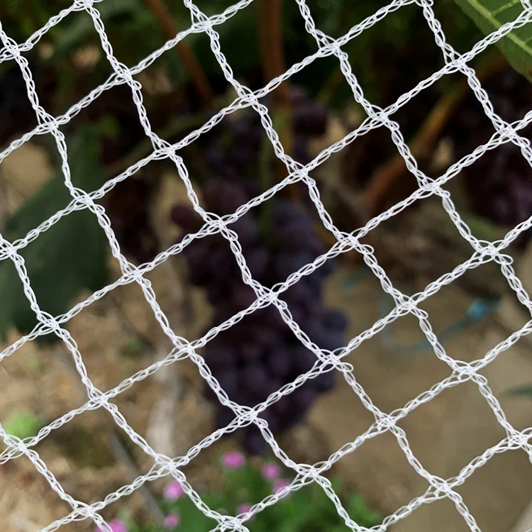 Hdpe Virgin Material Knotless Anti Bird Netting Bird Capature Net - Buy ...