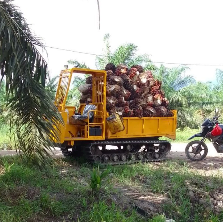 Mini Transporter Self Loading Mini Dumper 2 Ton Tracked Mini Dumper ...