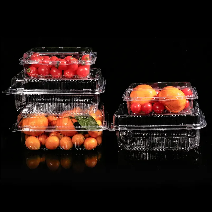 Transparent Disposable Plastic Box With Lid Clamshell Eco Friendly ...
