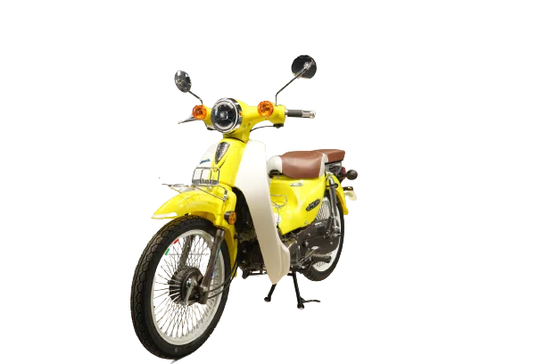 Chopper Motorcycle 100cc - Fun and Thrill on Two Wheels