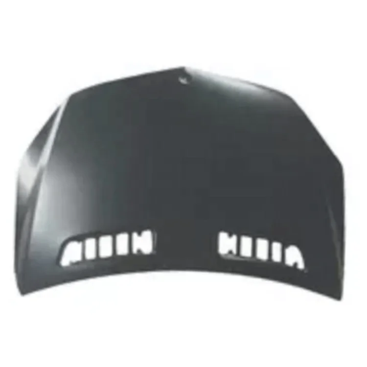 OEM 2518801283 Front Bumper Grille for Mercedes-Benz W251 R350 2007-2010