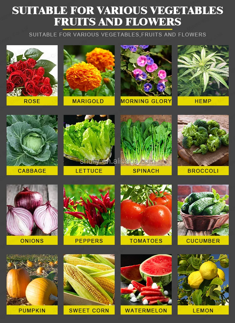 Vacuum Seeder - High Precision Sowing Machine for Farms