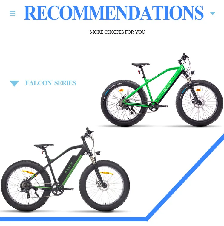 48V 21AH 1000W Electric Fat Hybrid Ebike with Full Suspension