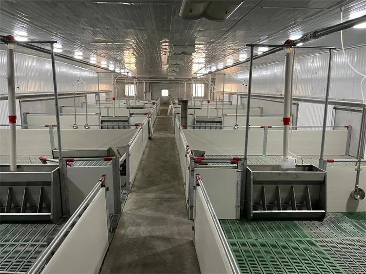 Customized Pig Gestation Stainless Steel Farrowing Crates Pig Weaning ...