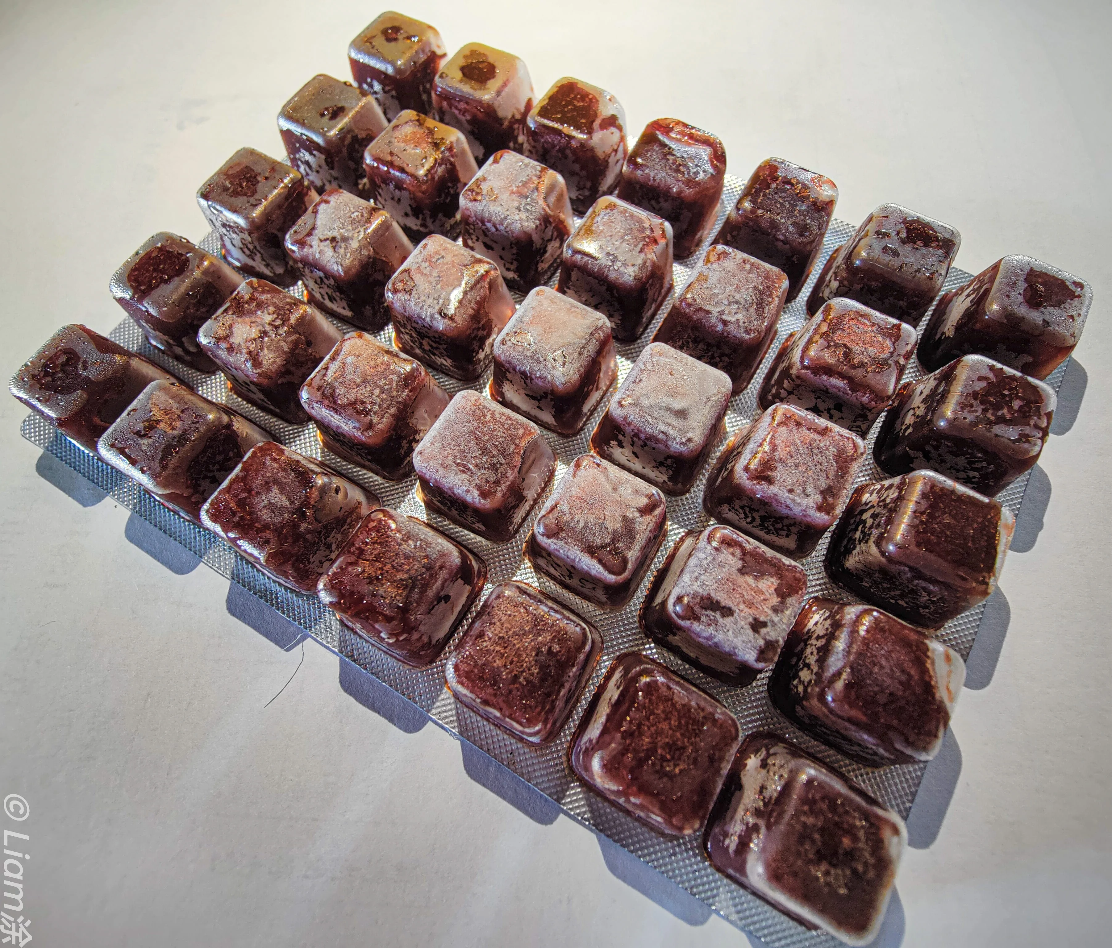 Frozen Bloodworm Cubes for Tropical Fish - High-Protein Pet Food for ...