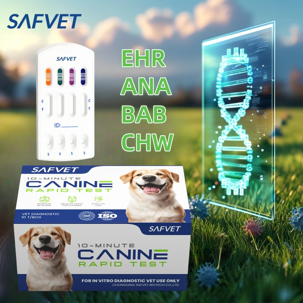Canine Blood Parasites Ehrlichia Babesia Gibsoni Anaplasma Heartworm ...