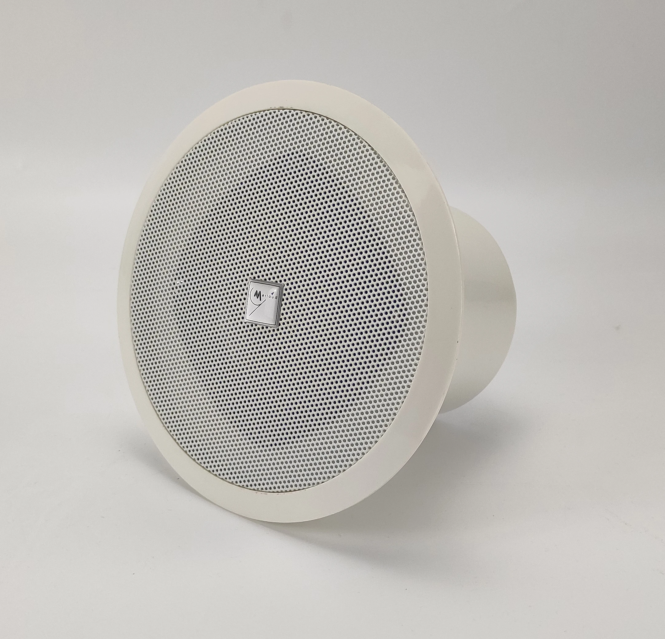 Ip Poe Ceiling Speaker 15w Abs With Dome Mip-fp152 - Buy Ip Based ...