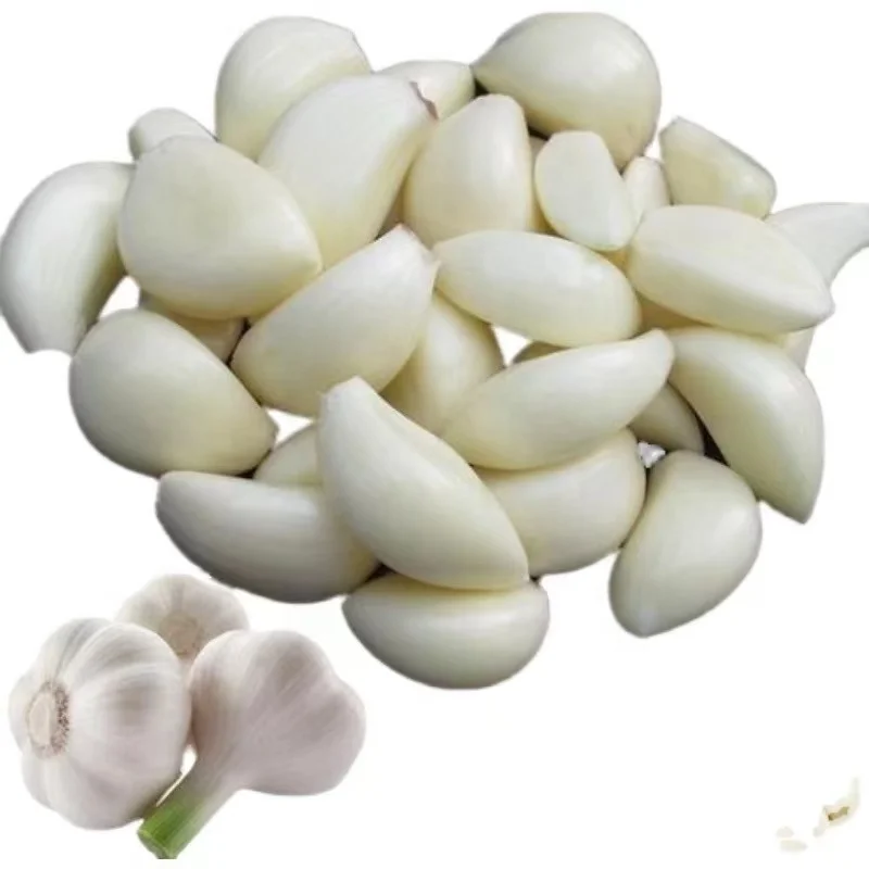 Fresh New Chinese wholesale garlic vacuum peeled Garlic in bulk for ...