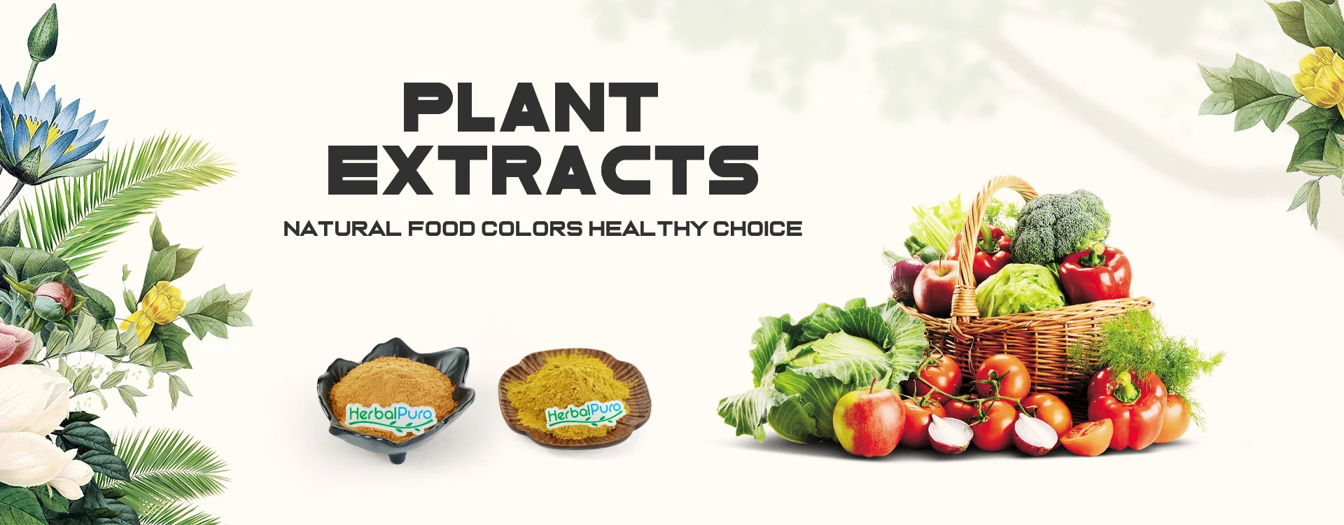 Wholesale Natural Arctium Lappa Extract Burdock Root Extract Powder ...