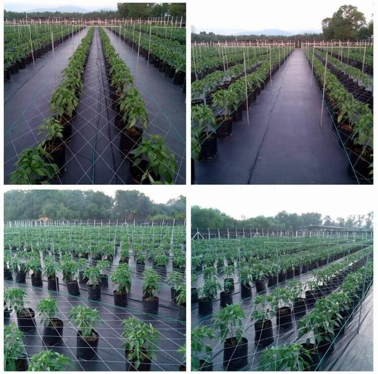 Weed Barrier Landscape Fabric Heavy Duty,Weed Block Gardening Ground ...