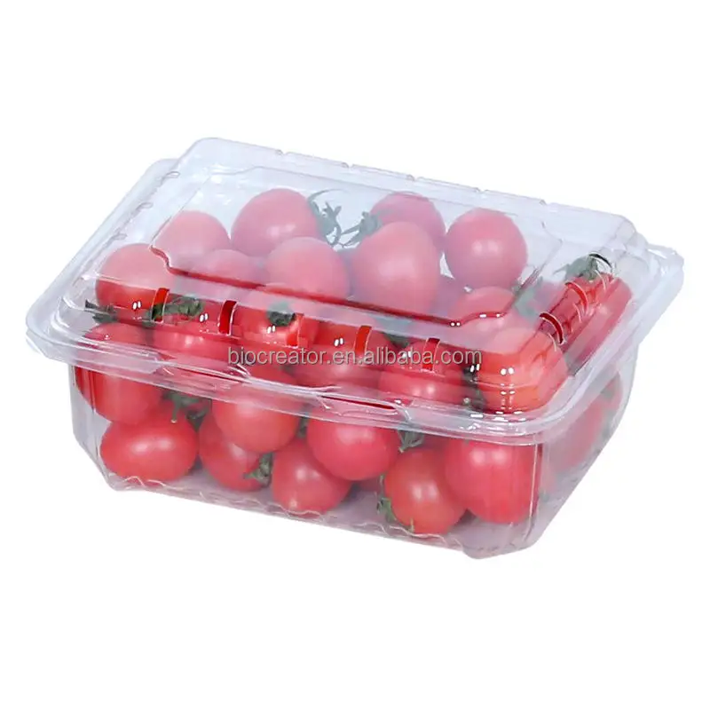 Wholesale Safe Disposable Transparent Fruits Packaging Plastic PET ...