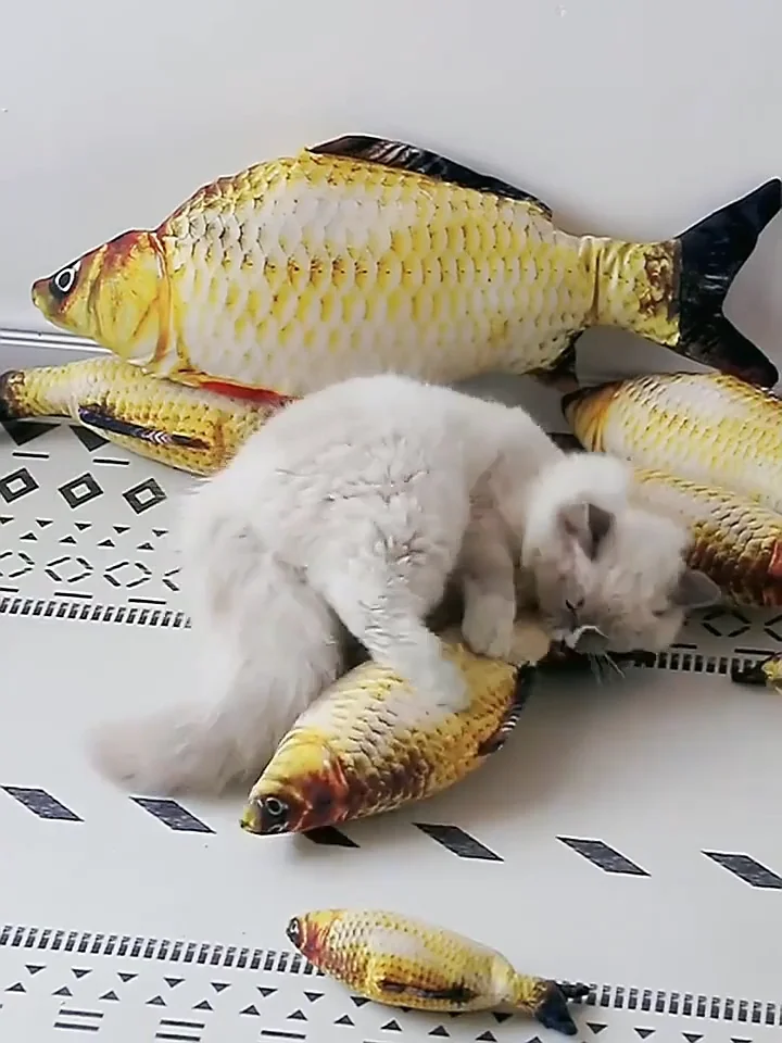 Cat Fish Toy Realistic Floppy Fishes Kitten Catnip Plush Simulation ...