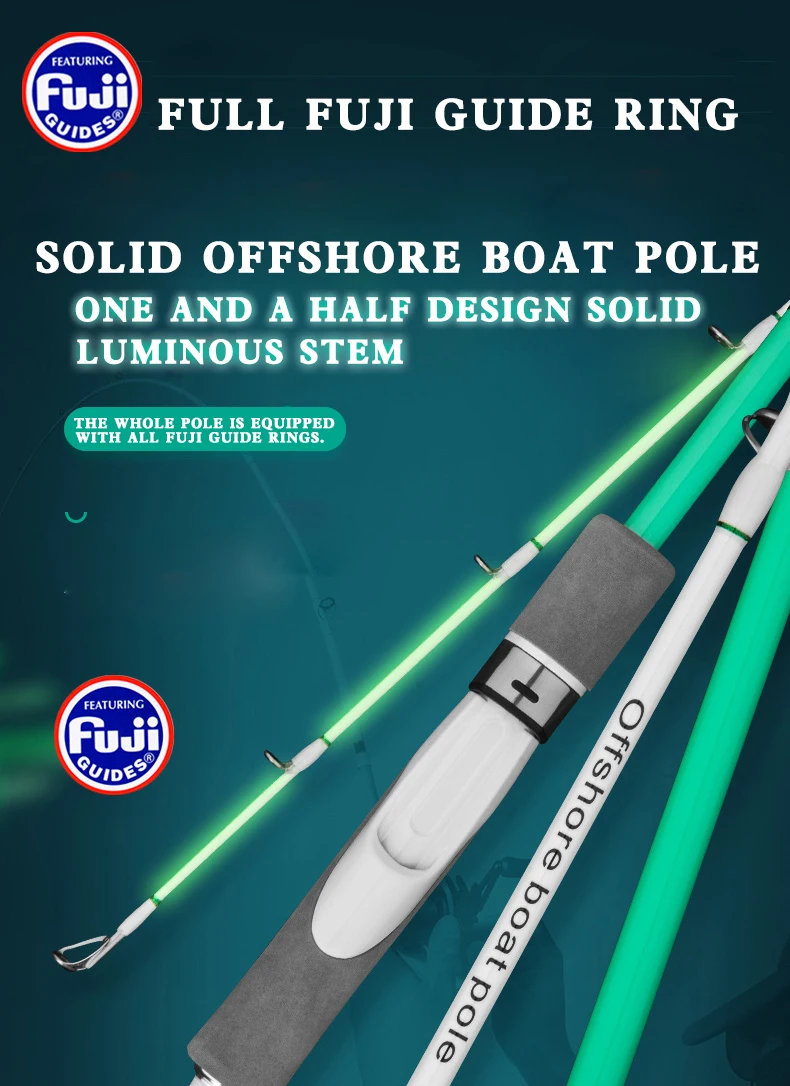 Ryobi Spinning Fuji Guide Rod Carbon Hard Lure Fishing Sea Fishing Rod ...