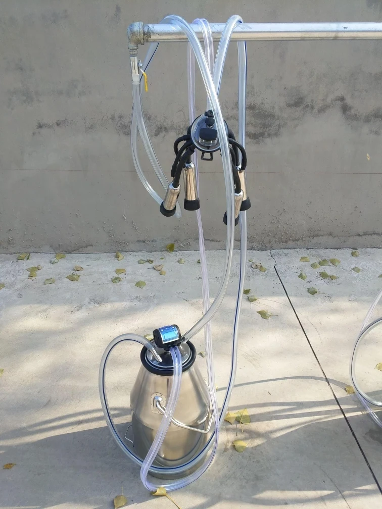 SS 304 Vacuum Pump - Efficient Milking System for Cows & Goats
