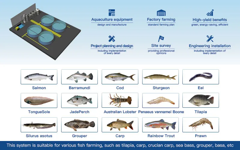CATQUA Pisciculture Fish Farming Seawater Treatment Fish Shrimp Turtle ...