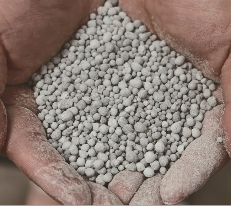 Single Super Phosphate 18% SSP Fertilizer - Gray White Granular