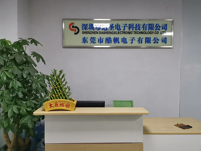 Company Overview - Shenzhen Dasheng Electronic Technology Co., Ltd.