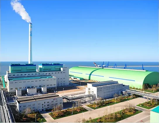 Emulsifier OP-10 - Efficient Washing Surfactant Agent