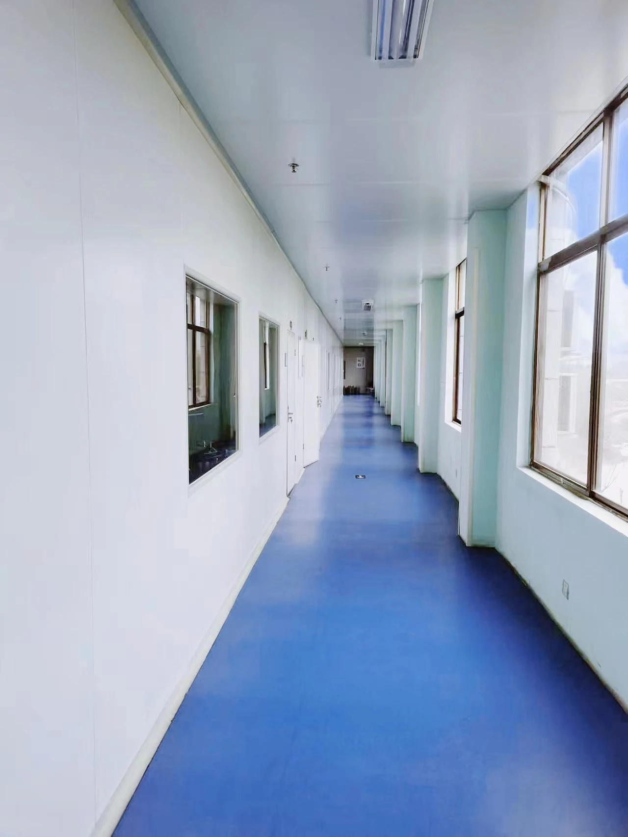 Moist Candy Lip Oil Lg-60 - Buy Ball Lip Balm,Disco Ball Lip Balm ...