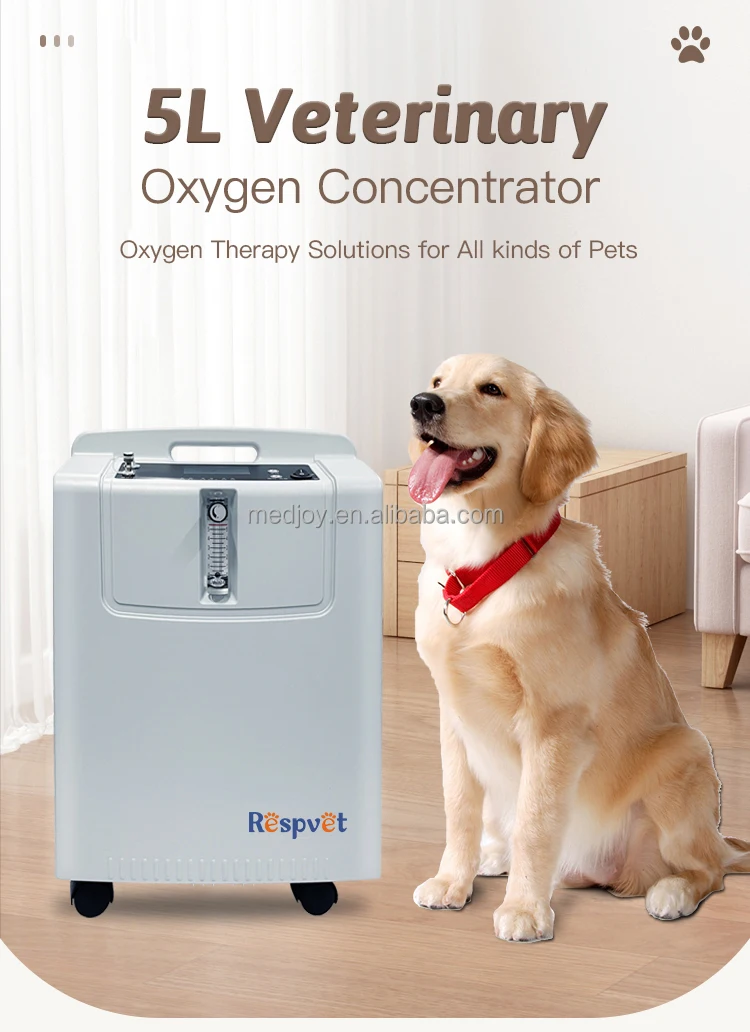 Factory Outlet 5l Oxygen Concentrator Therapy Machine For Pet Icu - Buy ...