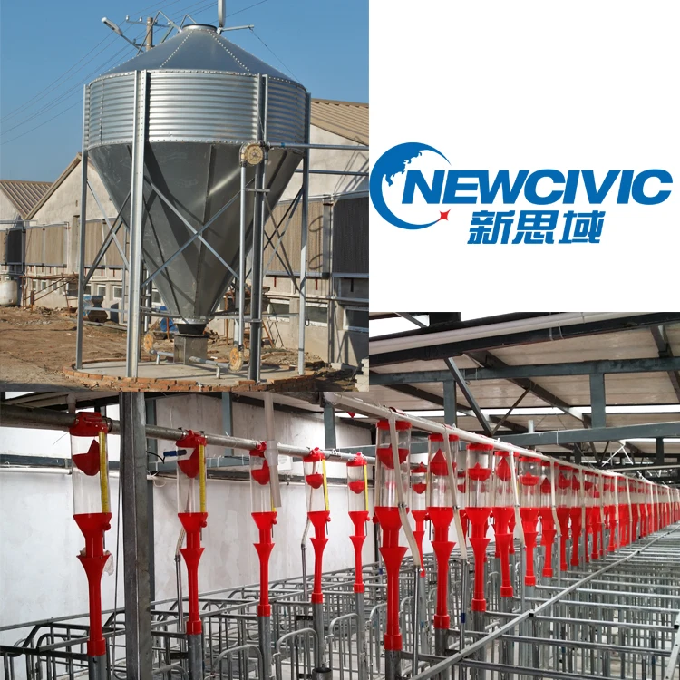 High Efficiency Automatic Pig Feeder - Reliable & Durable