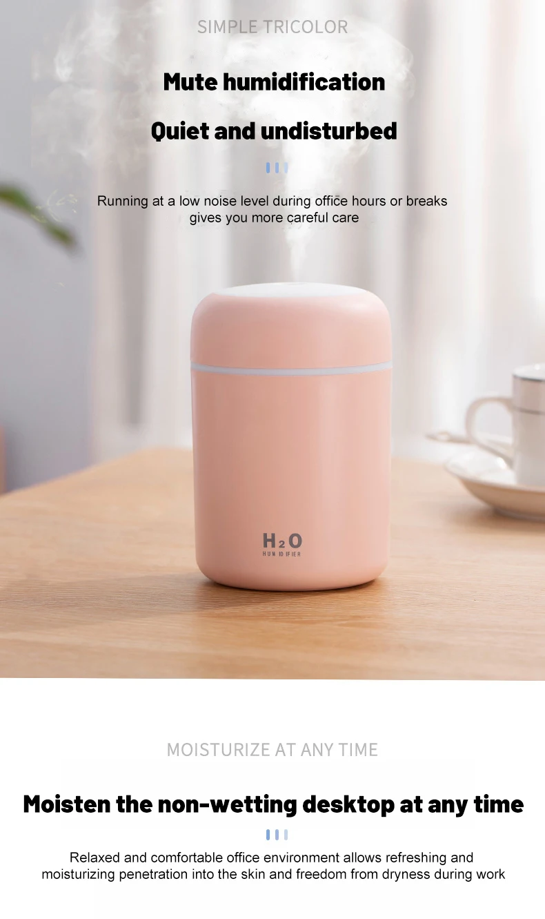 H2O Spray Mist Maker - Double Wet Fogger Aroma Diffuser