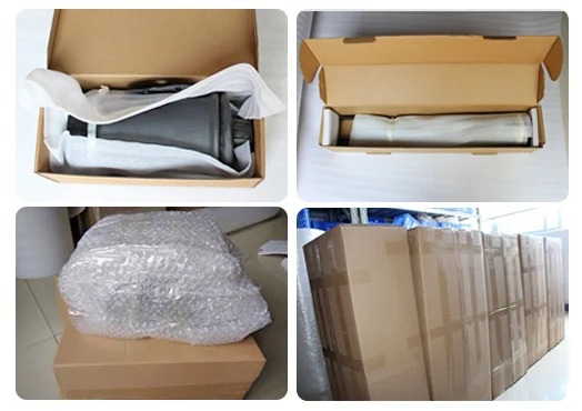Electromagnetic Rear Left / Right Shock Absorber Coilover For Audi R8 ...