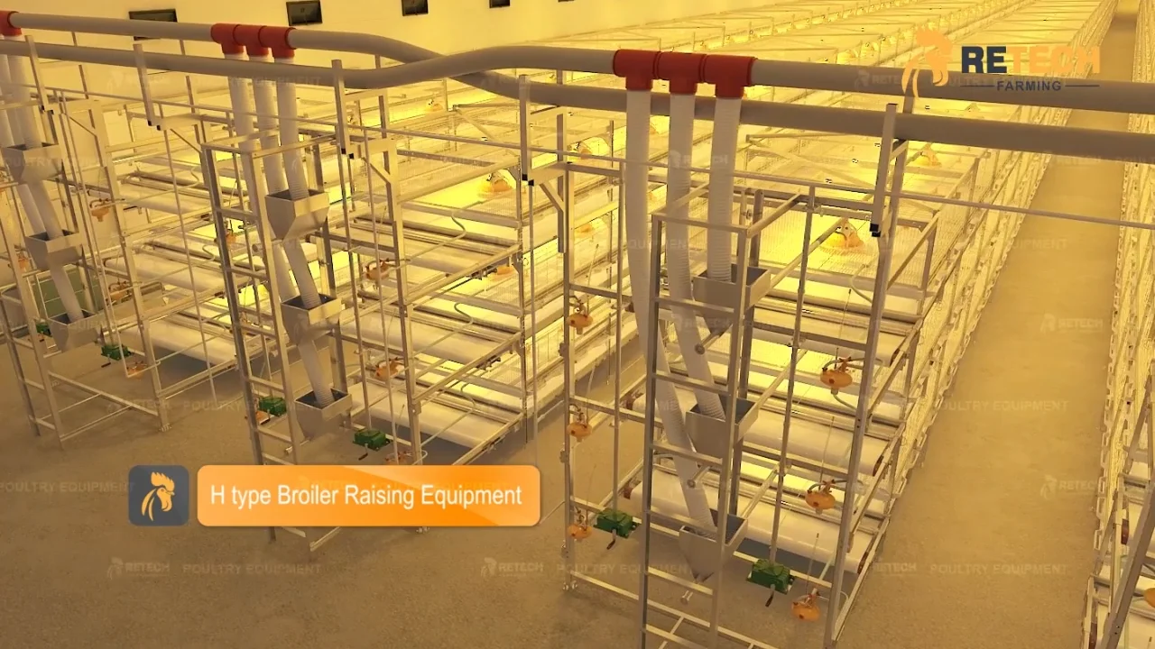 Chicken Farming Poultry Equipment Complete Automatic Broiler Battery Cage - Buy Poultry Farming ...