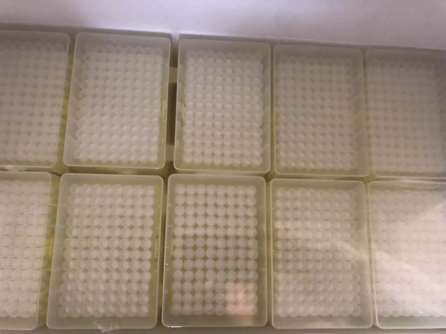 Plastic Lab Sterile Rack Universal Micro 10ul 100ul 200ul 1000ul Filter ...