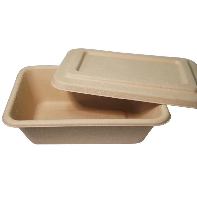Eco Choice Biodegradable Bagasse Food Container - Buy Bagasse Food ...