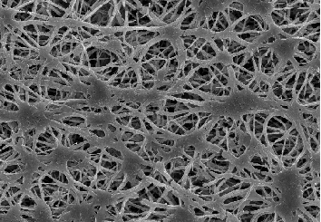 Hollow Fiber PTFE Membrane Polytetrafluoroethylene Membrane for Wastewater Treatment| Alibaba.com