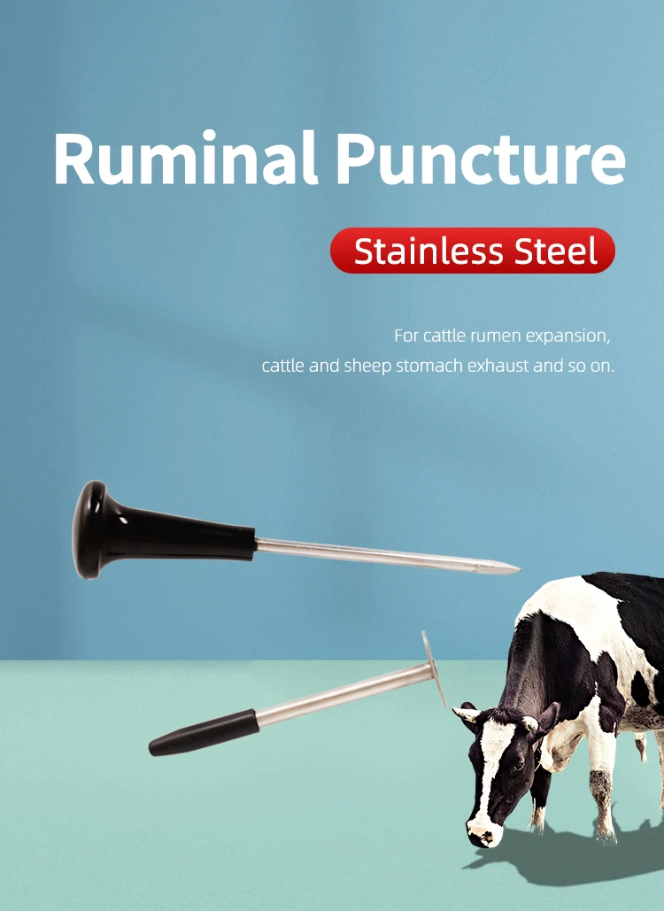 Animal Husbandry Tool Cow Nipple Puncture Needle for Milk Passing ...