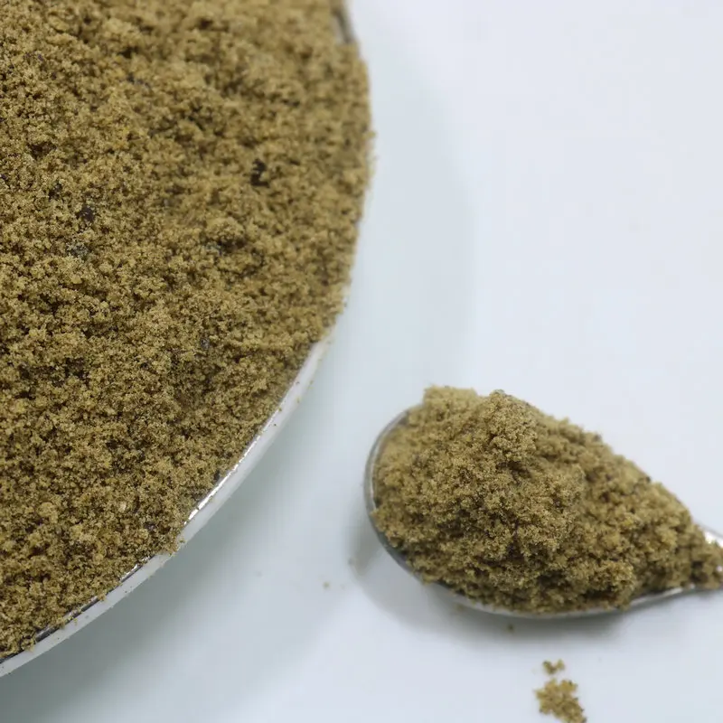 Black Soldier Fly Larvae Powder - Edible Insect Protein