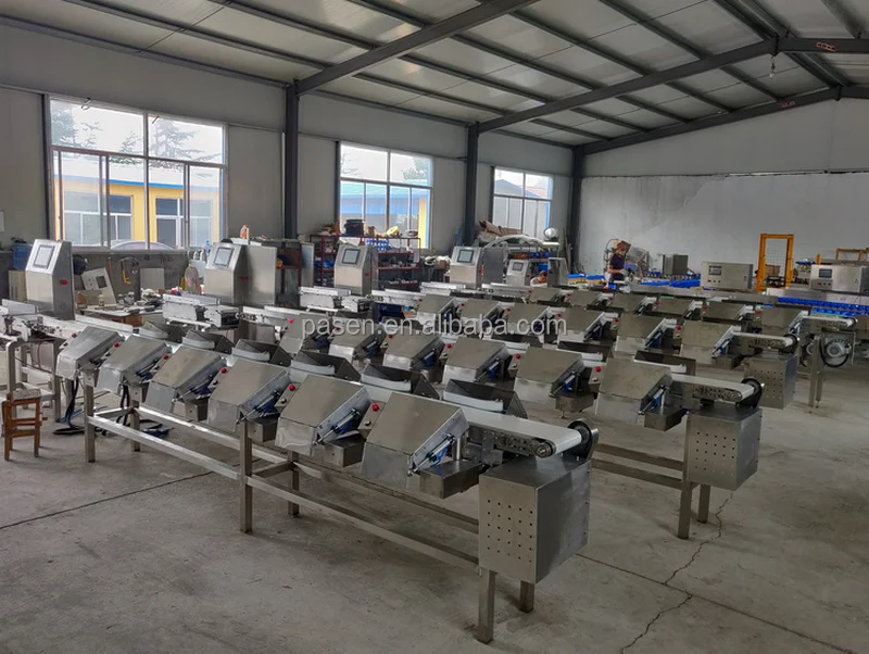 Auto Dynamic Weight Grading Sorting Classifying Machine For Fresh ...