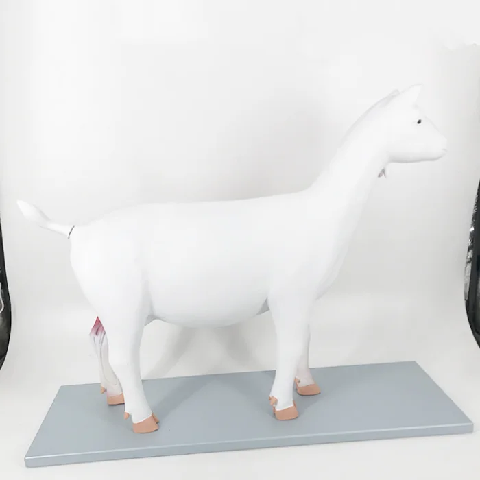 Ya/b025 Can Be Divided Into 2 Parts And Can Be Removed To Show The ...