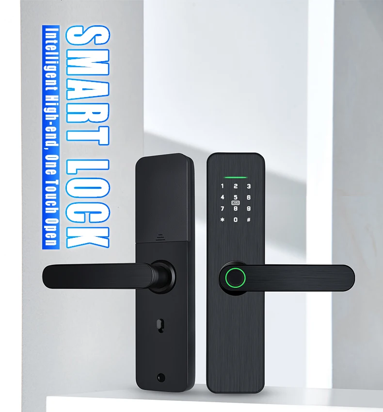 Topteq Biometric Intelligent Tuya Ttlock Fingerprint Smart Lock For ...