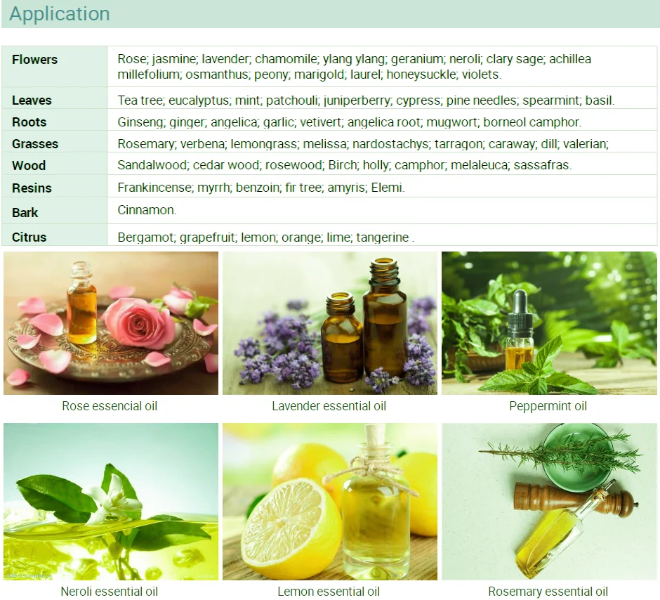 Tea Tree Distiller - Efficient Essential Oil Extraction